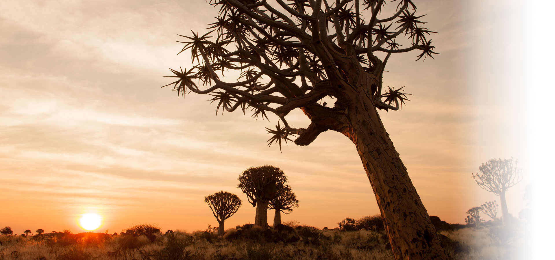 PRIJZEN - Explore Namibia