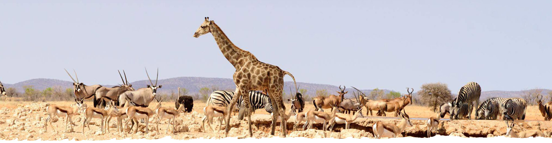 Self-drive Safari Namibia | 9 Days Route | All highlights Namibia